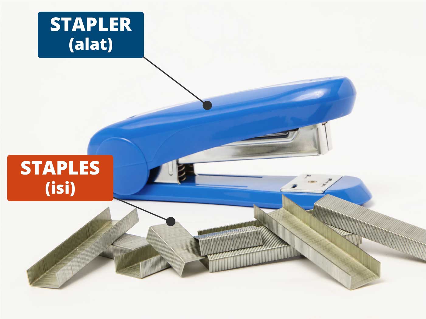 10 Rekomendasi Stapler Terbaik (Terbaru Tahun 2022) | mybest